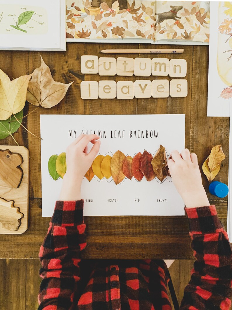 Fall Leaf Mini Unit Study Educational Printables Fall Leaf - Etsy