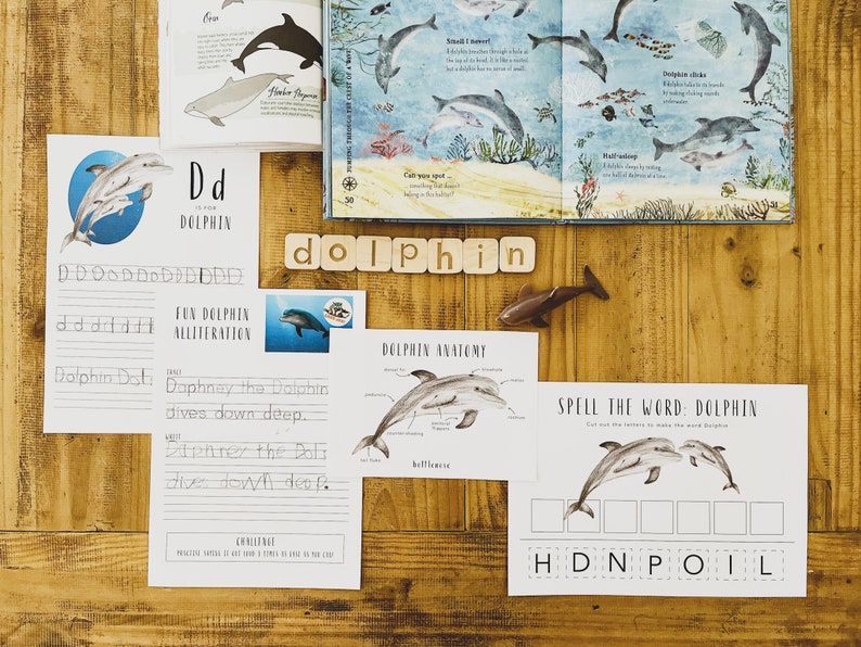 Dolphin Lesson Printables Dolphin Mini Unit Study - Etsy