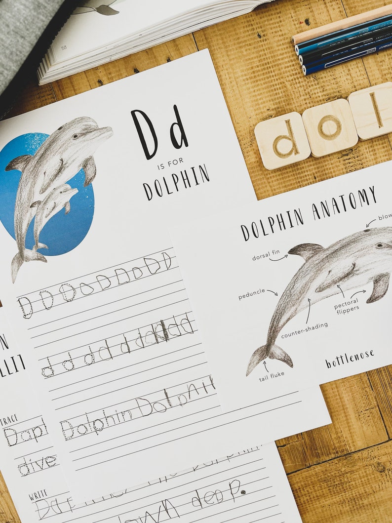Dolphin Lesson Printables Dolphin Mini Unit Study - Etsy