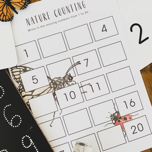 Nature Counting | Homeschool Printables | Homeschool Resources | Bug ...