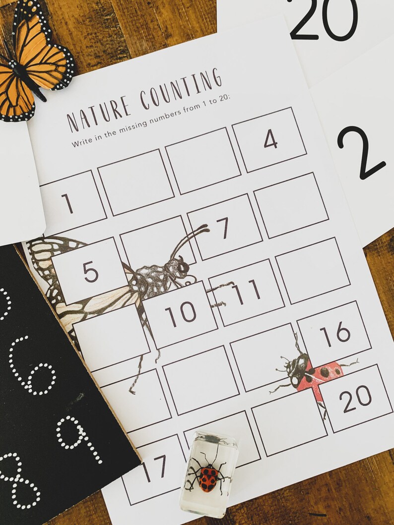 Nature Counting Homeschool Printables Homeschool Resources - Etsy