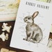 Rabbit Anatomy Homeschool Printables Homeschool Resources - Etsy