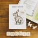 Rabbit Anatomy Homeschool Printables Homeschool Resources - Etsy