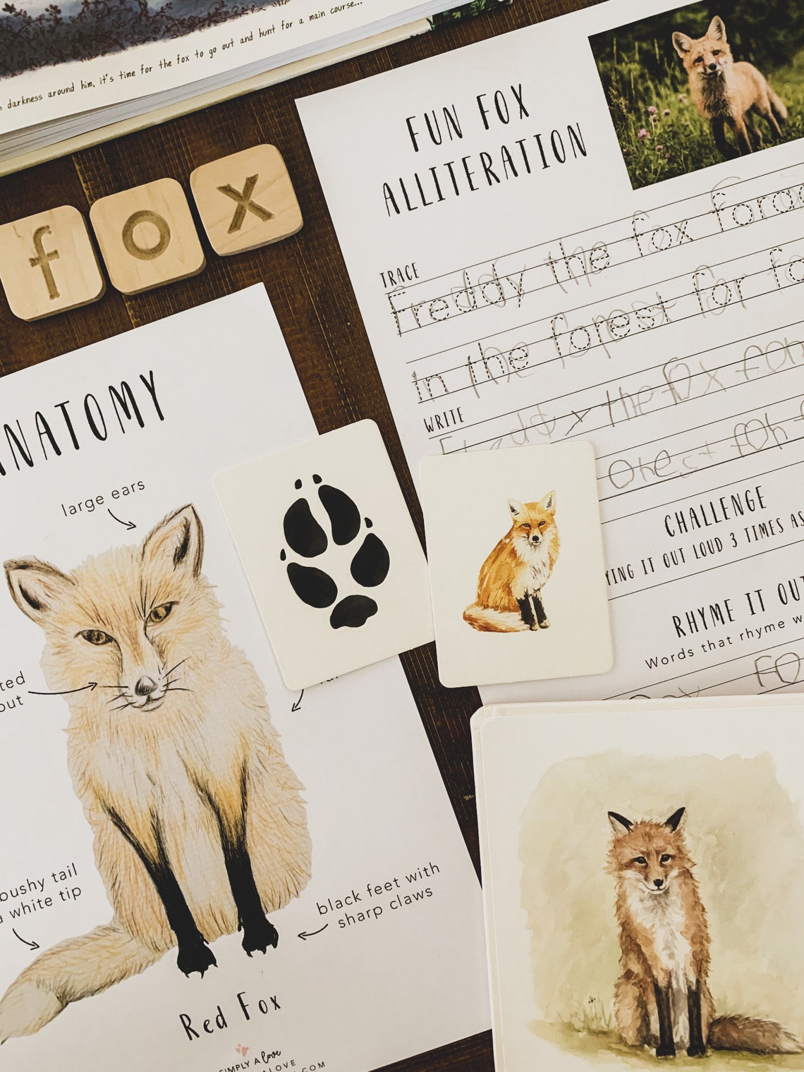 Fox Anatomy Homeschool Printables Homeschool Resources - Etsy