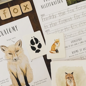 Fox Anatomy | Homeschool Printables | Homeschool Resources | Forest ...