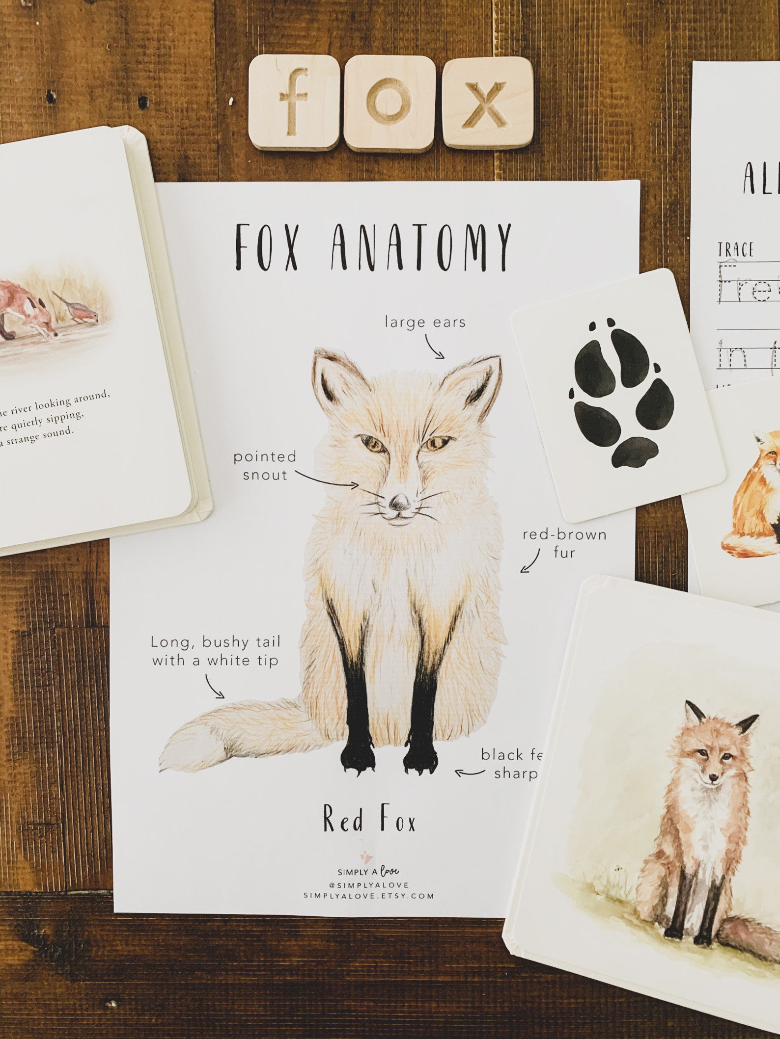 Fox Anatomy Homeschool Printables Homeschool Resources - Etsy