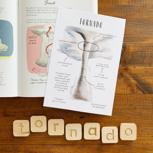 Tornado | Weather | Wind Energy | Science Cards | Homeschool Resources ...