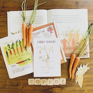 Carrot Anatomy | Homeschool Resources | Botonical Cards | Montessori ...