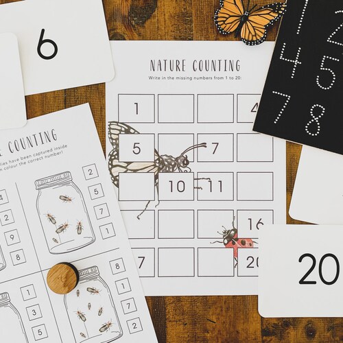 Nature Counting Homeschool Printables Homeschool Resources - Etsy