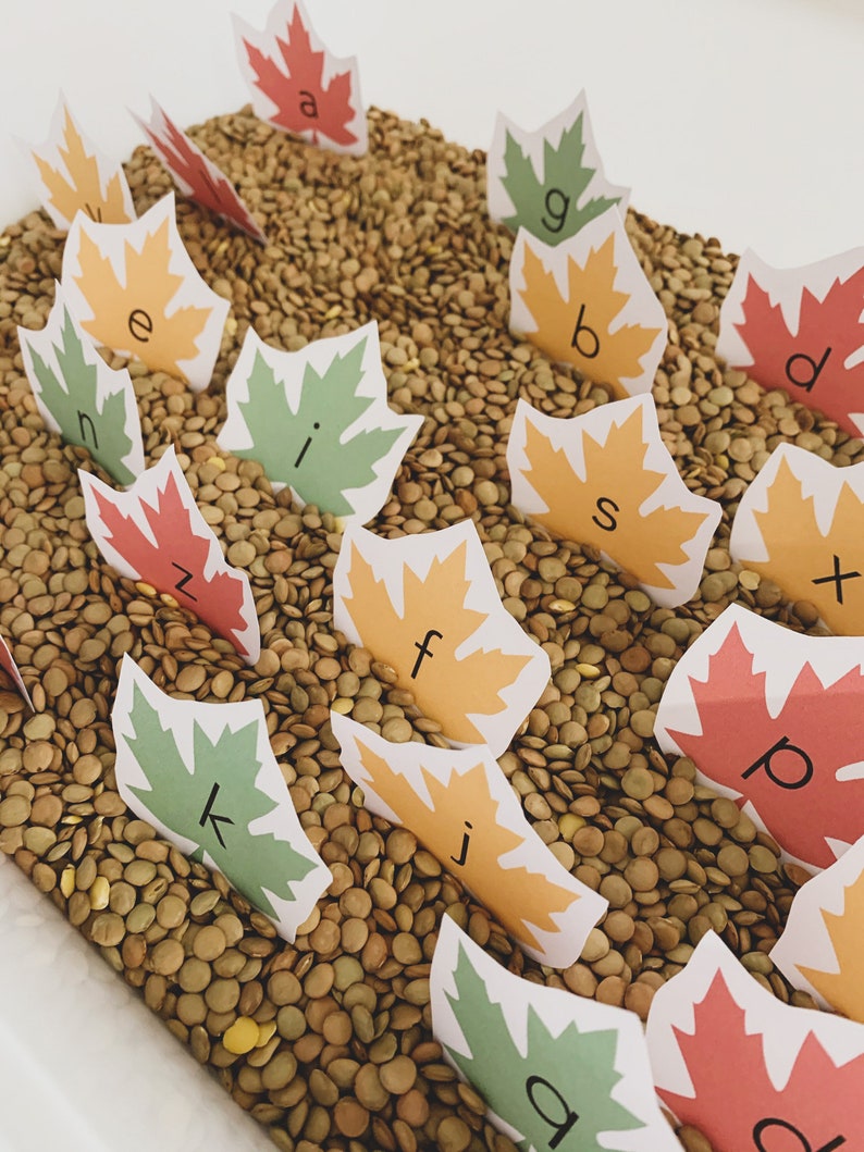 Maple Tree Printables Maple Tree Activities Homeschool | Etsy