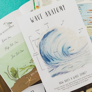 Wave Anatomy | Printables | Homeschool Resources | Earth | Montessori ...