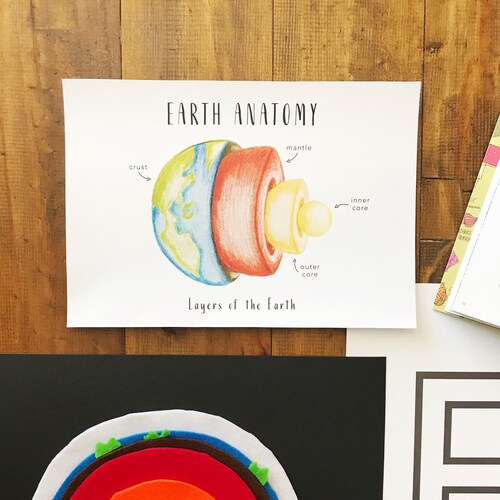 How Plants Grow Science Cards Homeschool Resources - Etsy