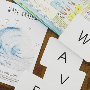 Wave Anatomy | Printables | Homeschool Resources | Earth | Montessori ...