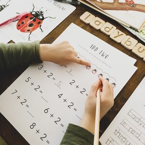 Ladybug Mini Unit Study | Educational Printables | Ladybugs ...