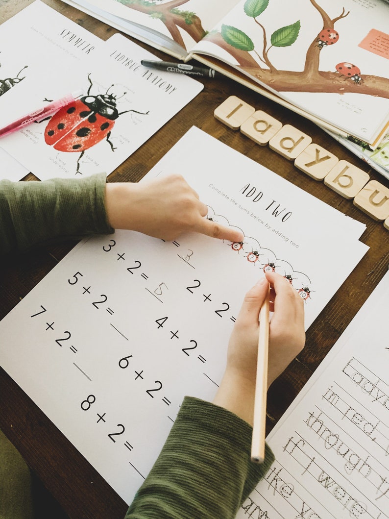 Ladybug Mini Unit Study Educational Printables Ladybugs - Etsy