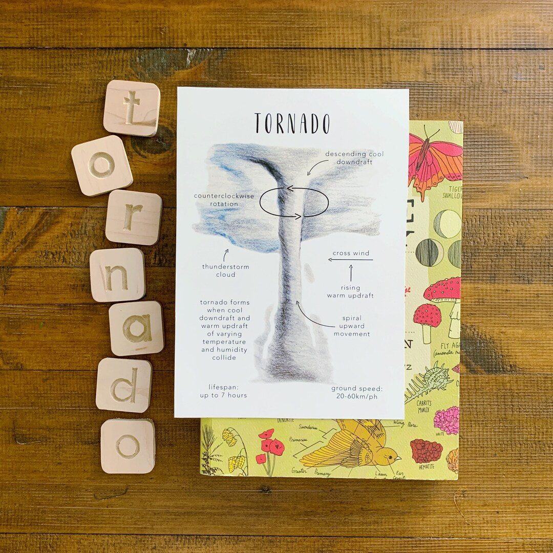 Tornado | Weather | Wind Energy | Science Cards | Homeschool Resources ...