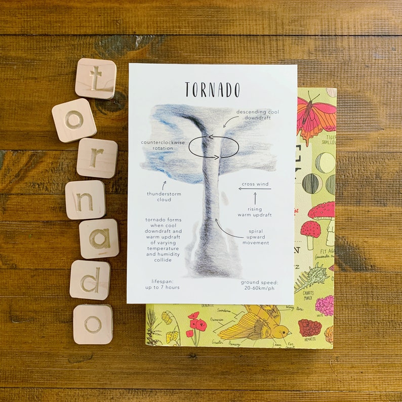 Tornado Weather Wind Energy Science Cards Homeschool | Etsy