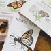 Monarch Butterfly Anatomy Homeschool Printables Homeschool Resources ...