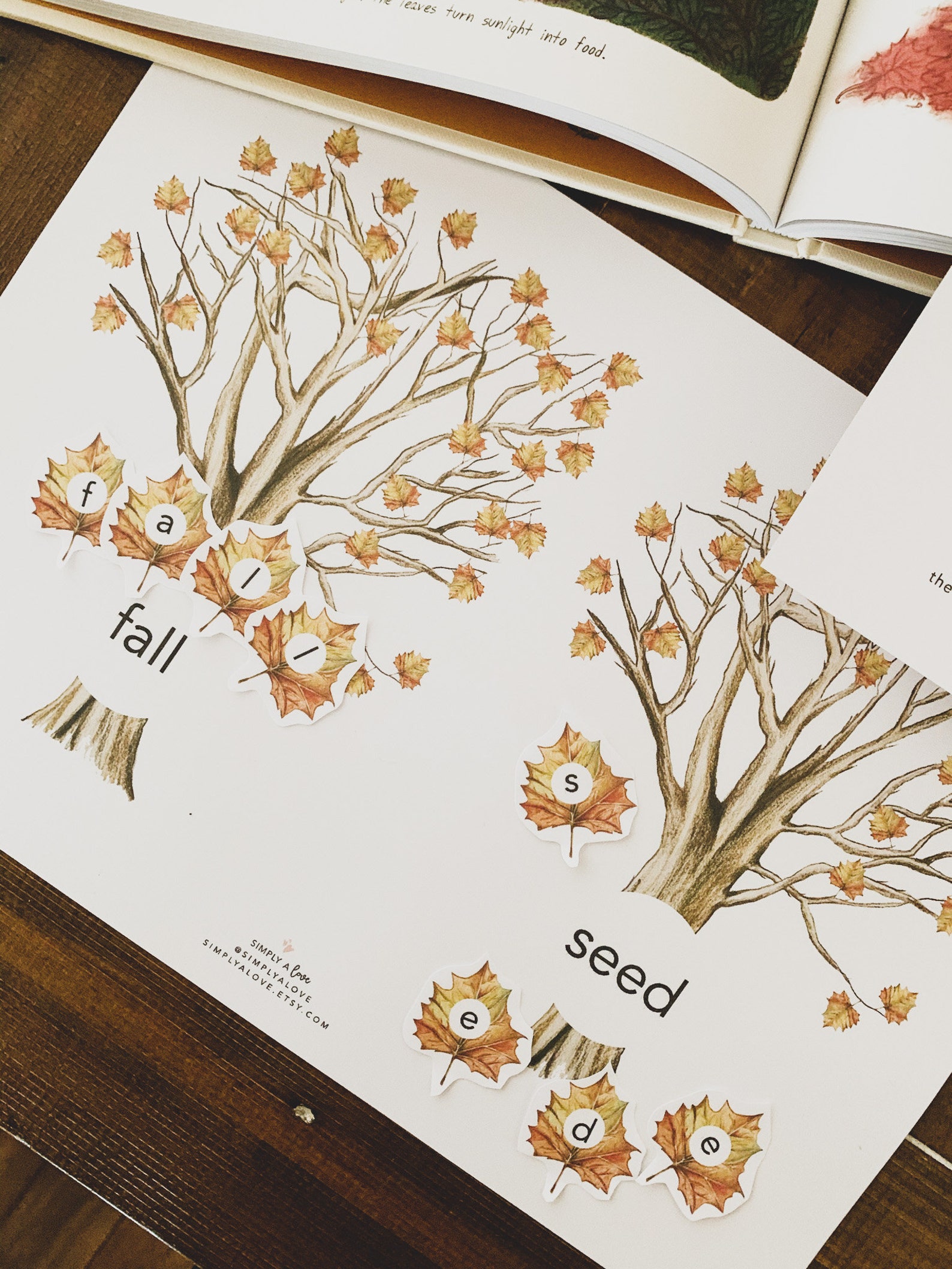 Fall Leaf Mini Unit Study Educational Printables Fall Leaf - Etsy