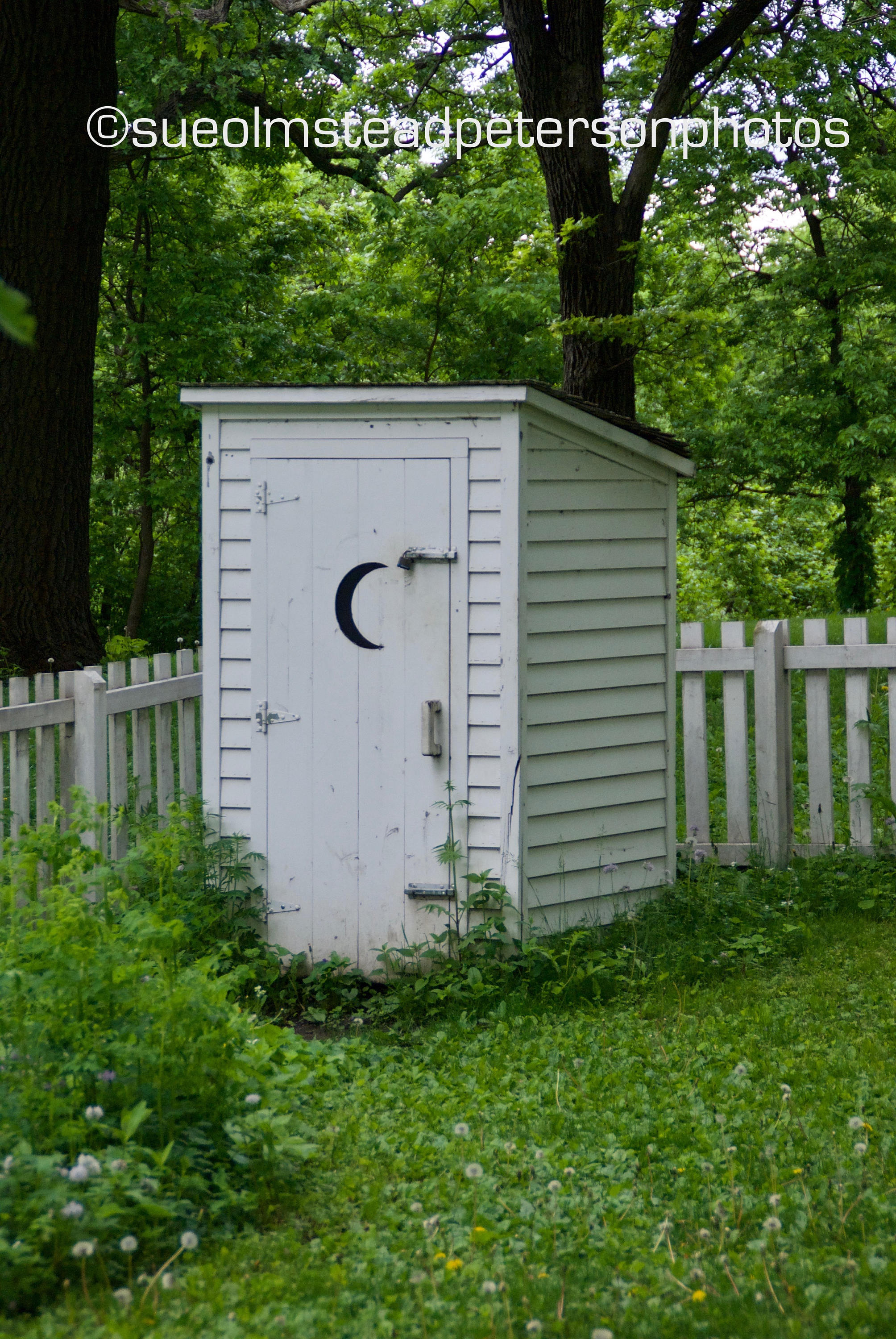 Vintage Outhouse with Crescent Moon Privy Biffy with White - Etsy 日本