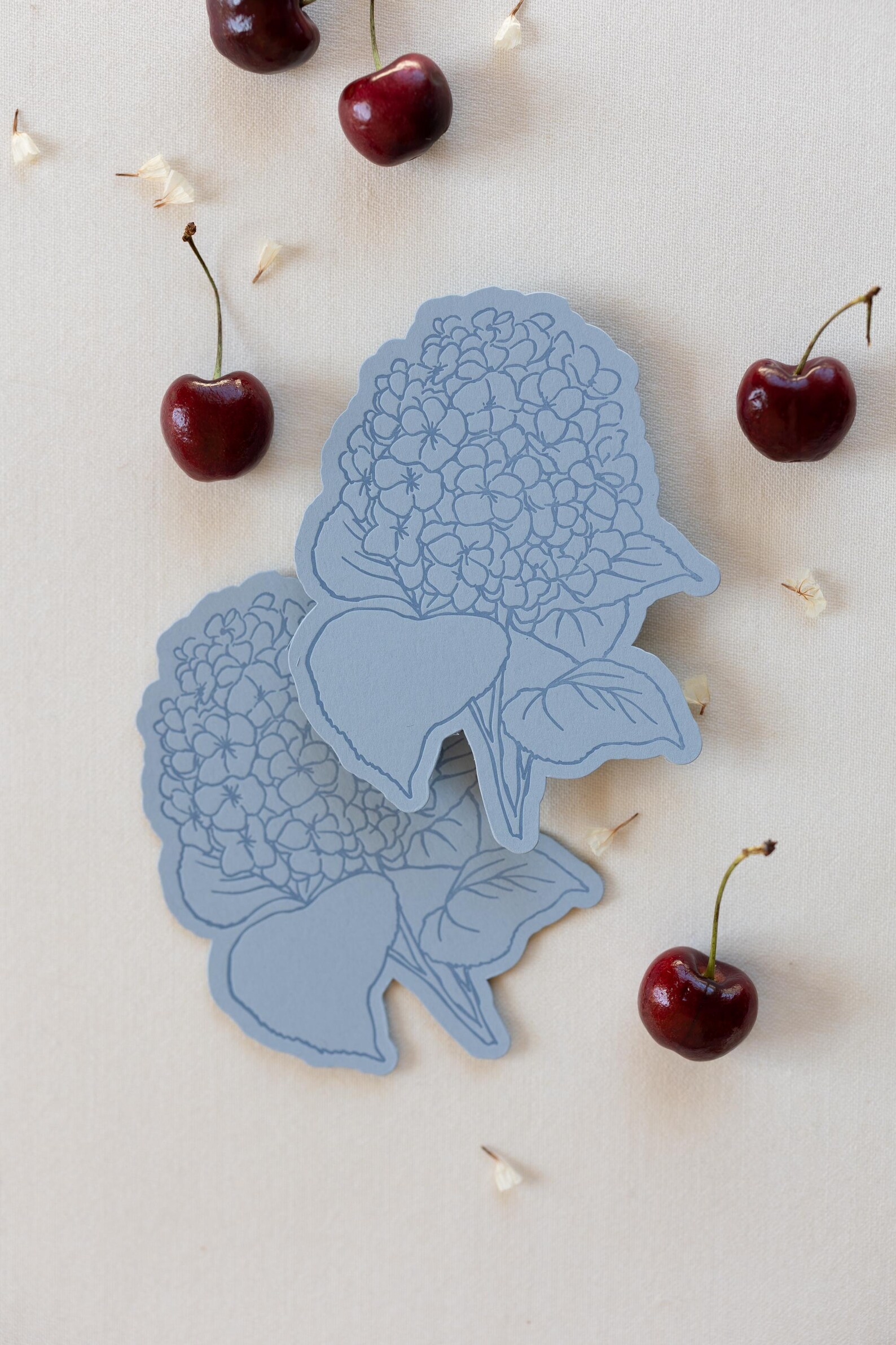 Hydrangea White or Blue Letterpressed and Die Cut Place Cards | Set of ...