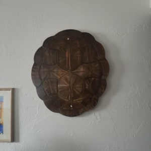 Turtle Shell - Etsy