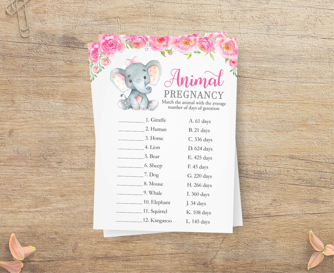 Animal Gestation Game Baby Shower Games Pregnancy Guessing | Etsy