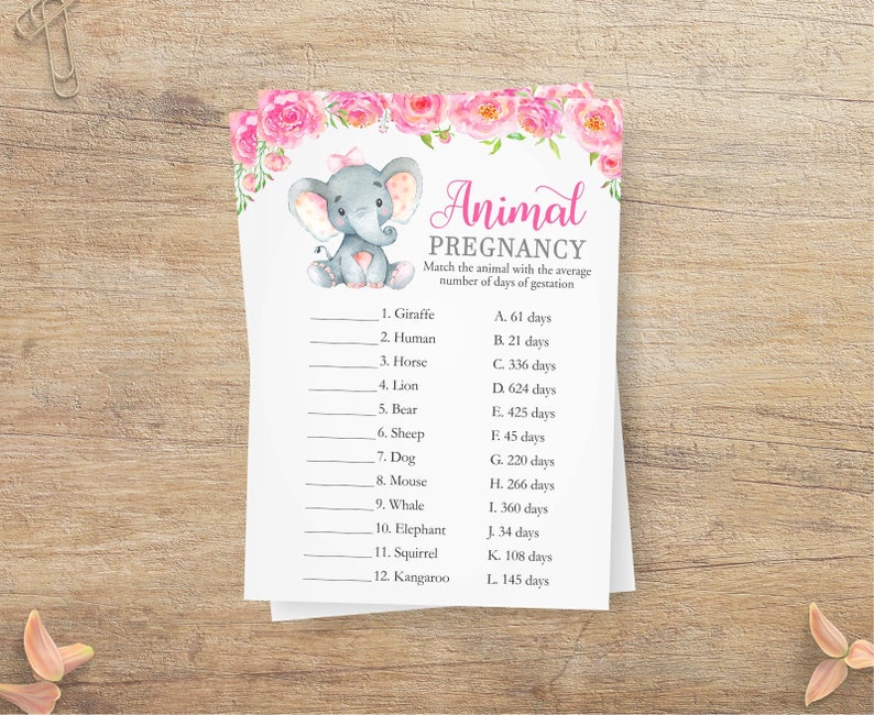 Animal Gestation Game Baby Shower Games Pregnancy Guessing - Etsy