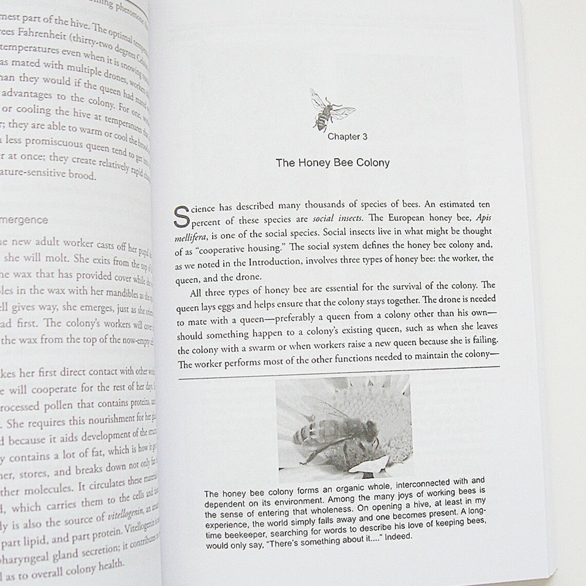 Bee Book, Honey-maker: How the Honey Bee Worker Does What She Does ...