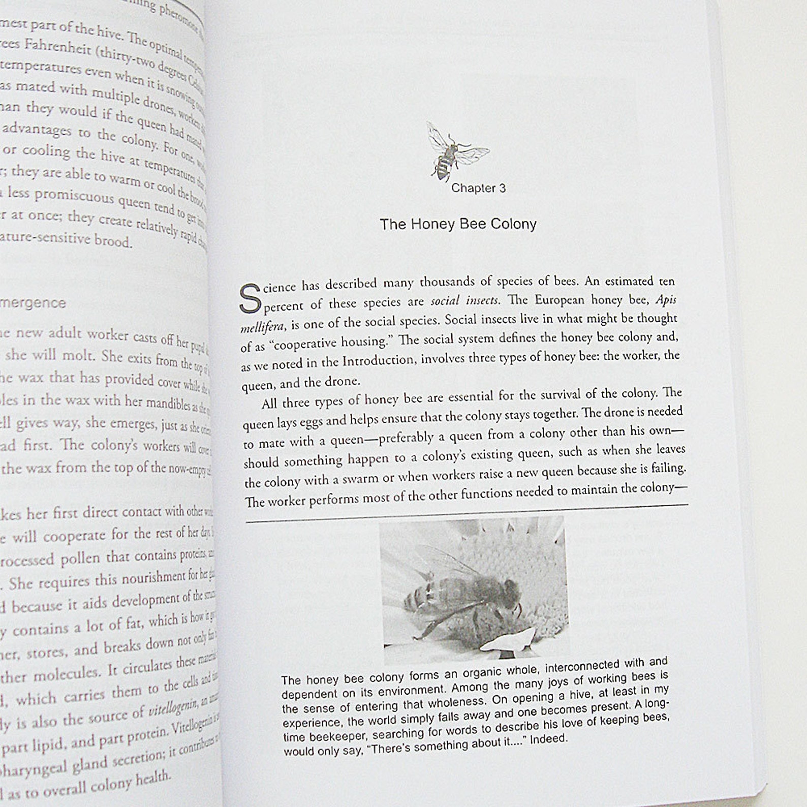 Bee Book, Honey-maker: How the Honey Bee Worker Does What She Does ...