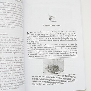 Bee Book, Honey-maker: How the Honey Bee Worker Does What She Does ...
