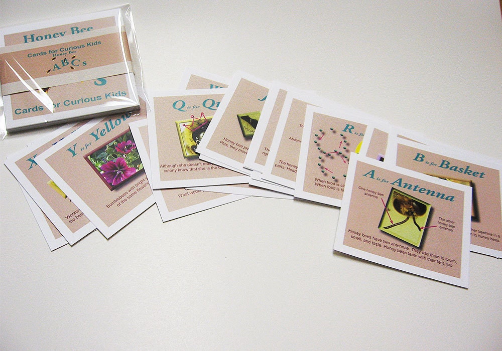 DIY Bee Cards, Abcs, Set of 28 Cards, Cards for Curious Kids: Honey Bee ...
