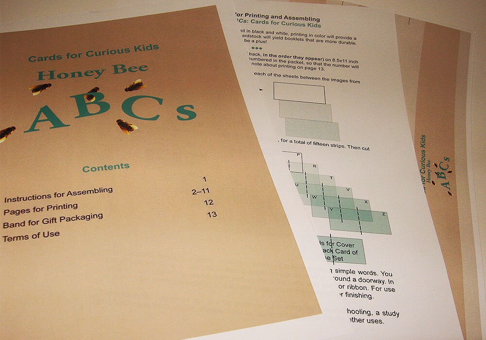 DIY Bee Cards, Abcs, Set of 28 Cards, Cards for Curious Kids: Honey Bee ...