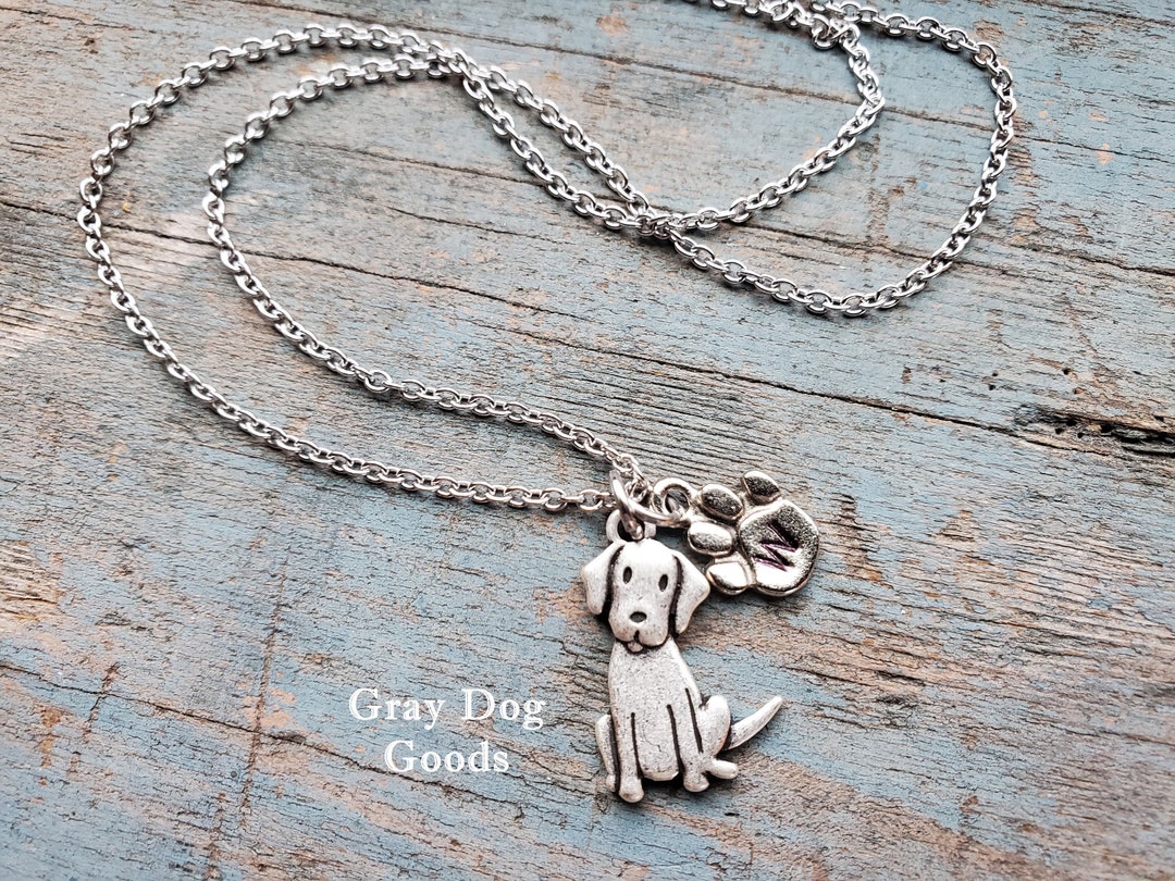 Collier Labrador Retriever, collier de laboratoire, collier de chien ...