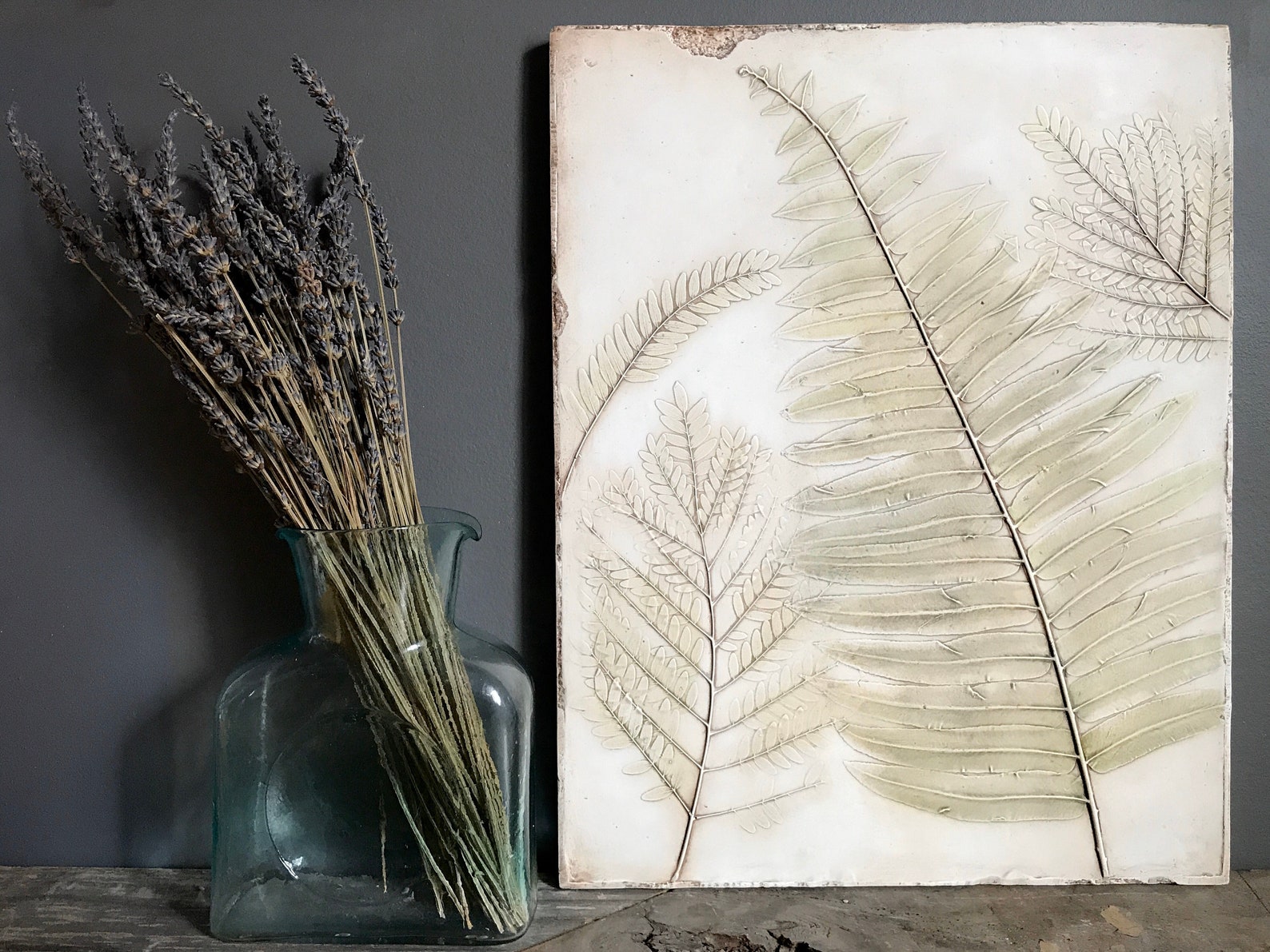Plaster Cast Leaf Print Flora Study Botanical Art Fern | Etsy