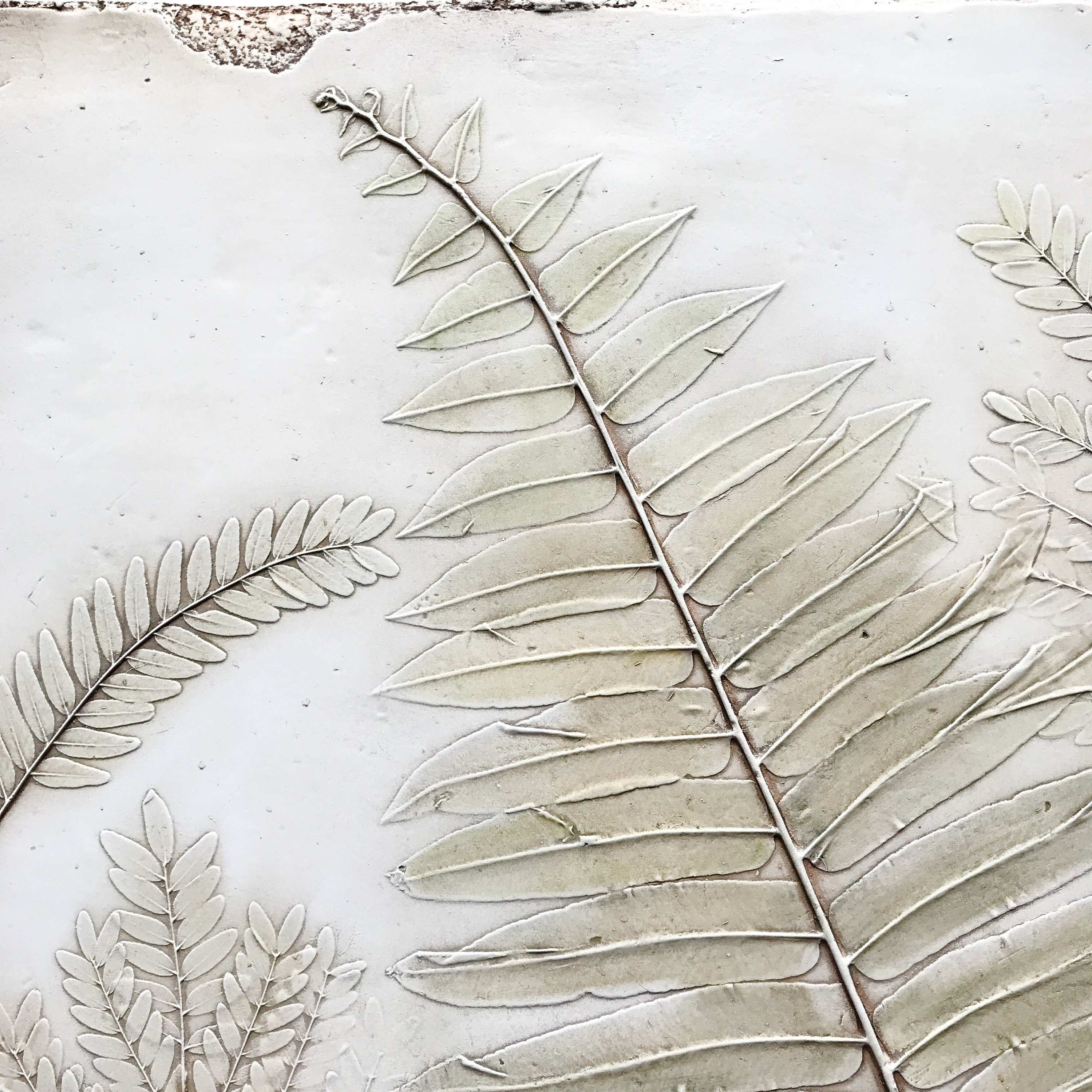 Plaster Cast Leaf Print Flora Study Botanical Art Fern | Etsy