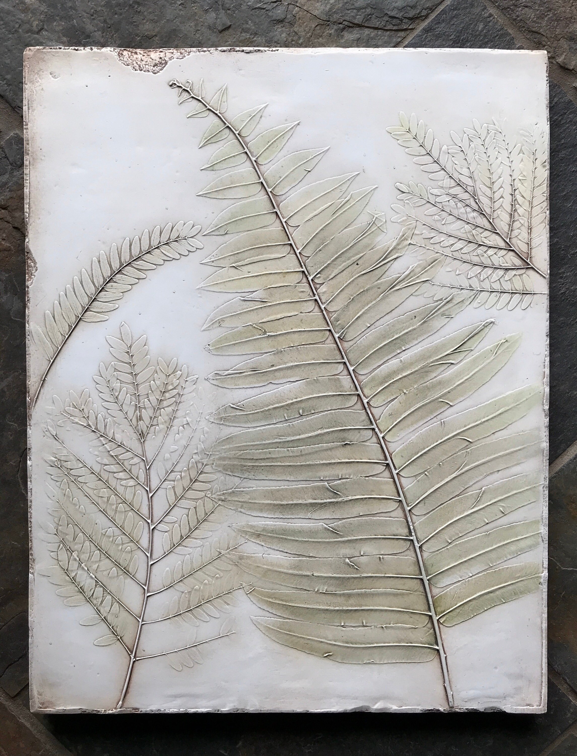 Plaster Cast Leaf Print Flora Study Botanical Art Fern | Etsy