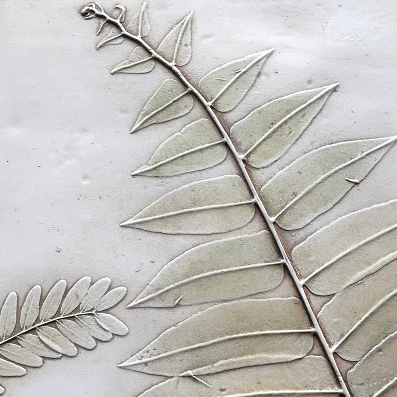 Plaster cast leaf print flora study botanical art fern | Etsy
