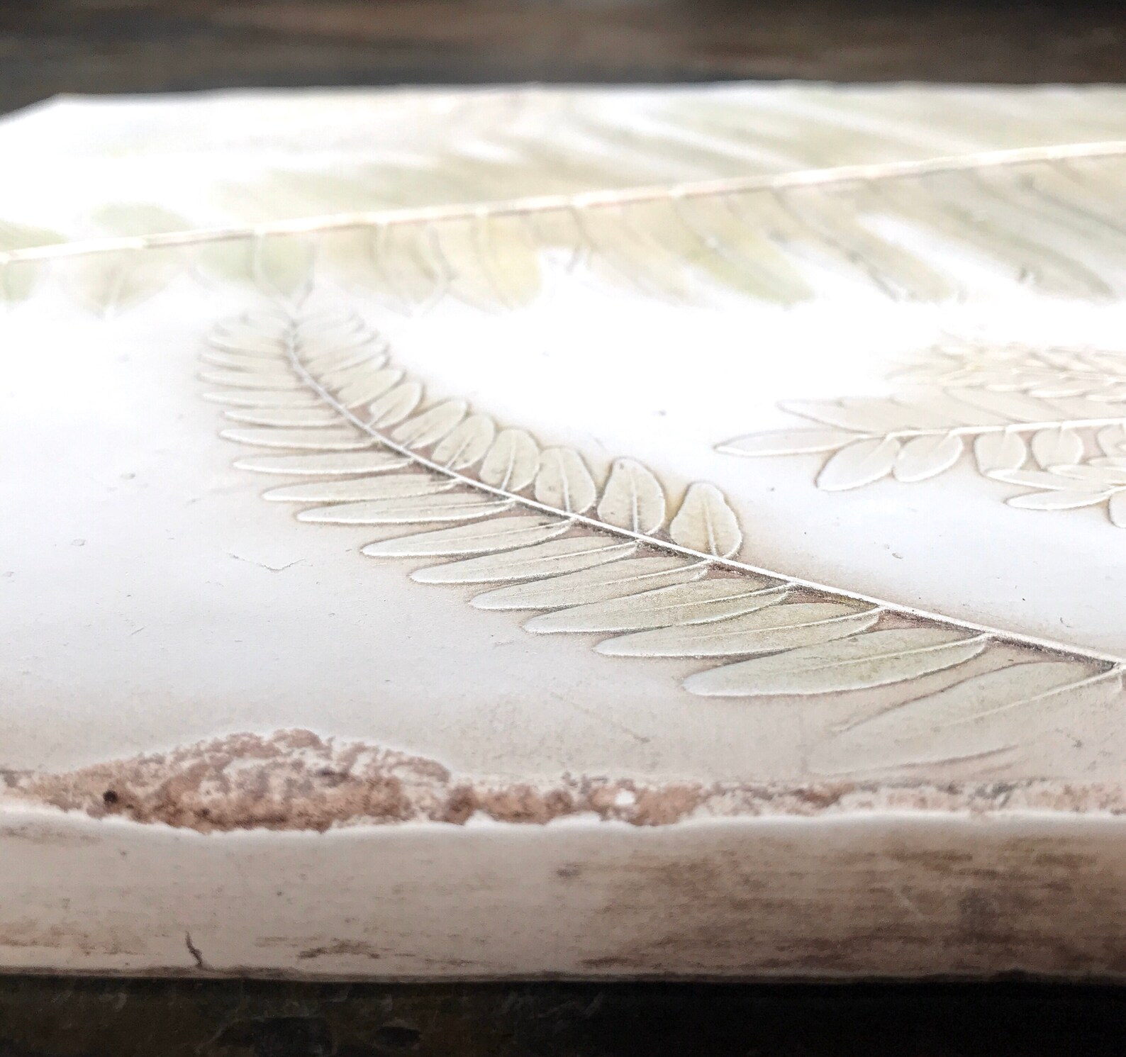 Plaster Cast Leaf Print Flora Study Botanical Art Fern | Etsy