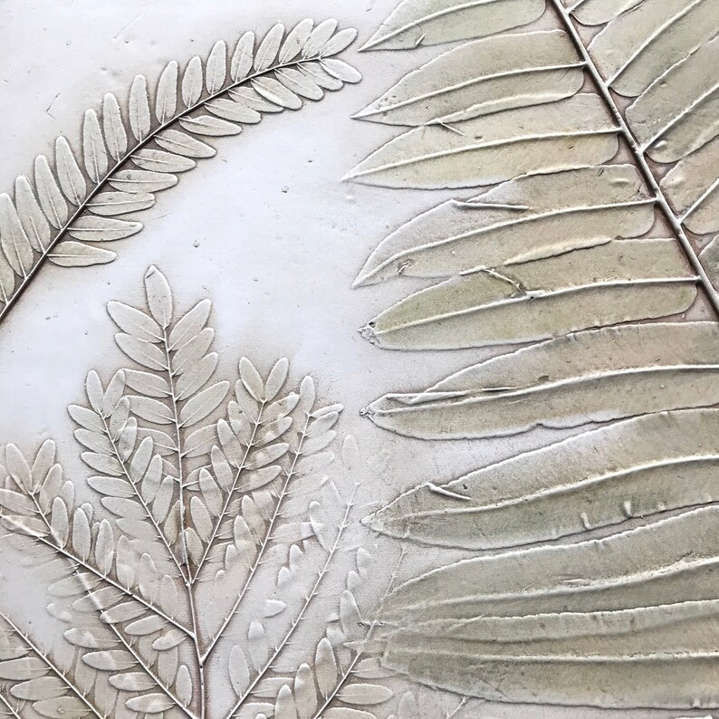 Plaster Cast Leaf Print Flora Study Botanical Art Fern | Etsy