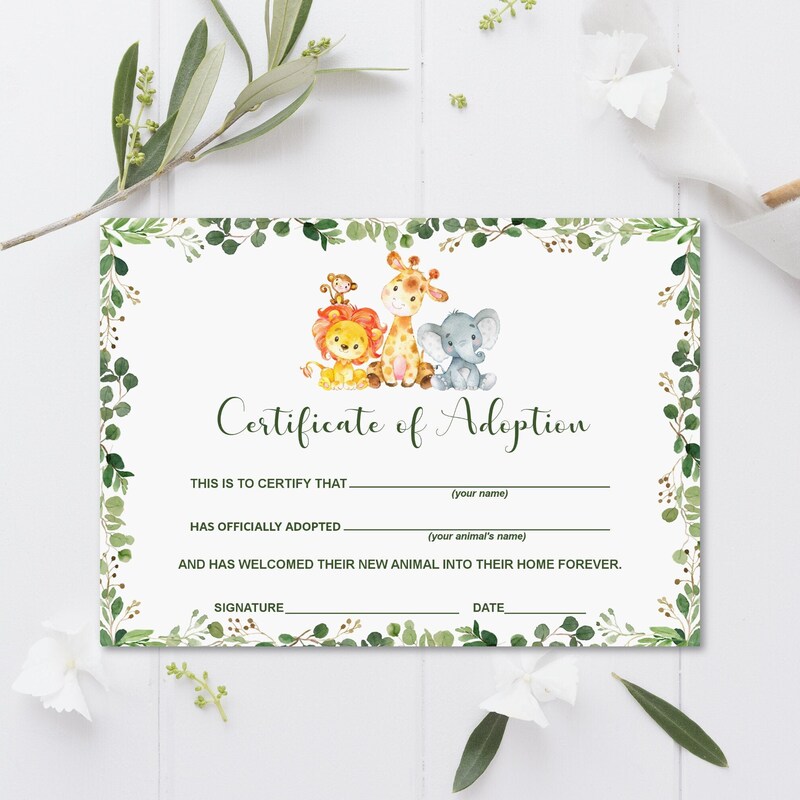 Printable Zoo Certificate - Etsy
