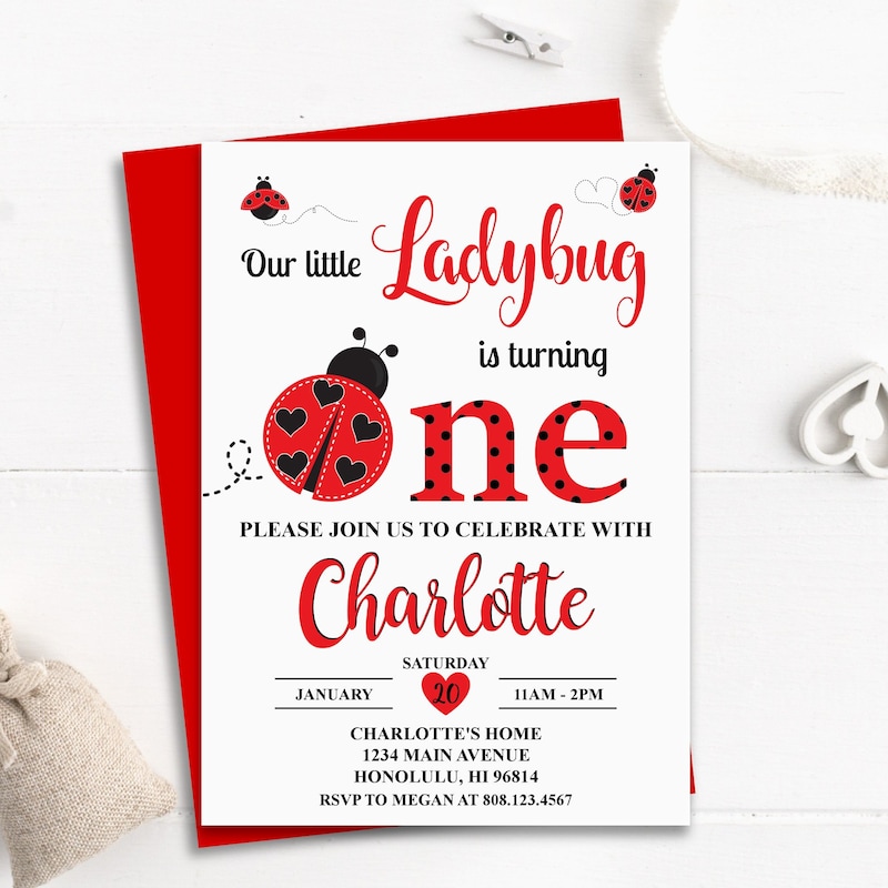 Ladybug 1st Birthday - Etsy