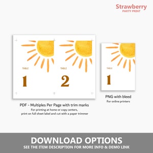 Editable Sun Table Numbers Sun Baby Shower First Trip Around Sun ...