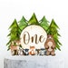 PRINTABLE Woodland Birthday Cake Topper Wild One Birthday Cake Topper ...