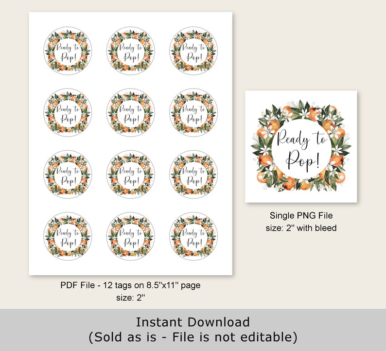 Ready to Pop Stickers Little Cutie Baby Shower Orange Citrus - Etsy