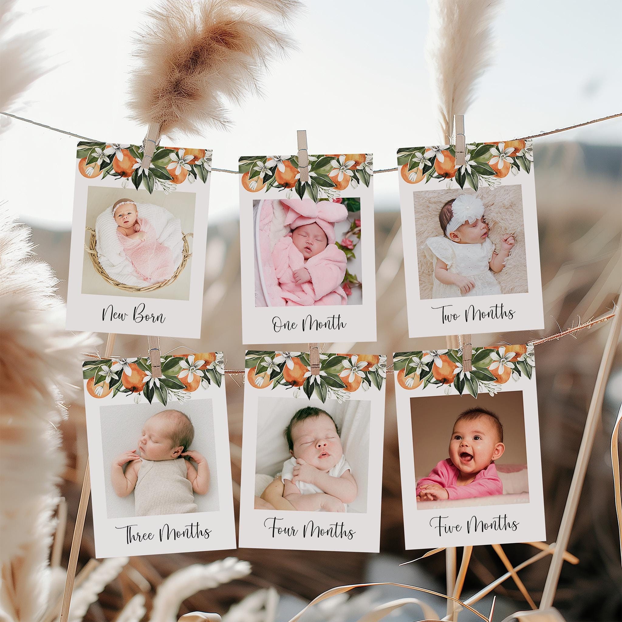 Editable Citrus First Birthday Photo Banner Template, Baby's 1st Year ...