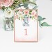 Editable Elephant Table Numbers Elephant Baby Shower Pink Elephant Girl ...