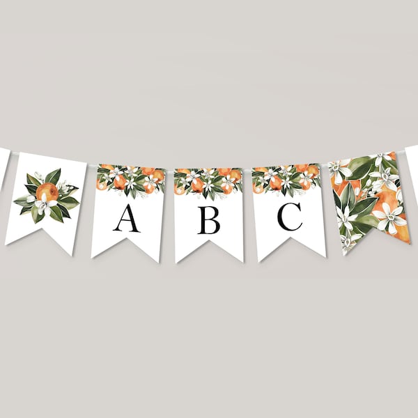 Citrus Party Decor - Etsy