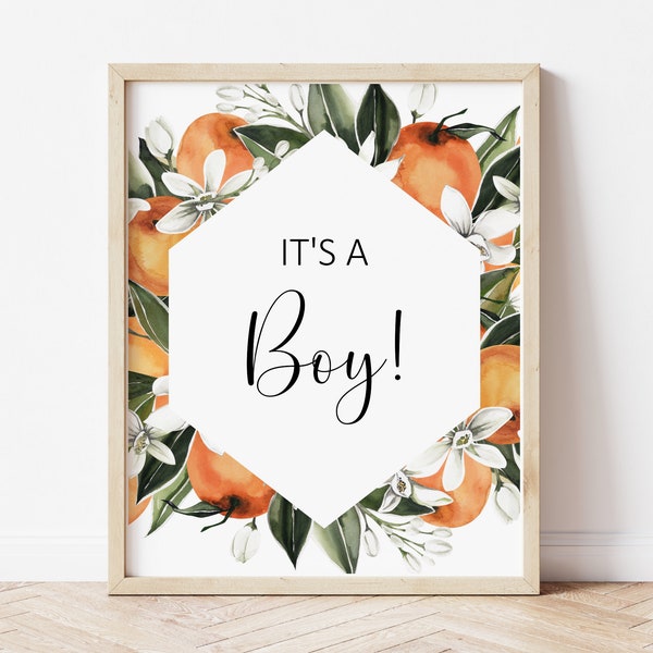 Little Boy Sign - Etsy