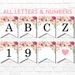 Pink Floral Printable Banner Alphabet A-Z & Numbers Boho | Etsy